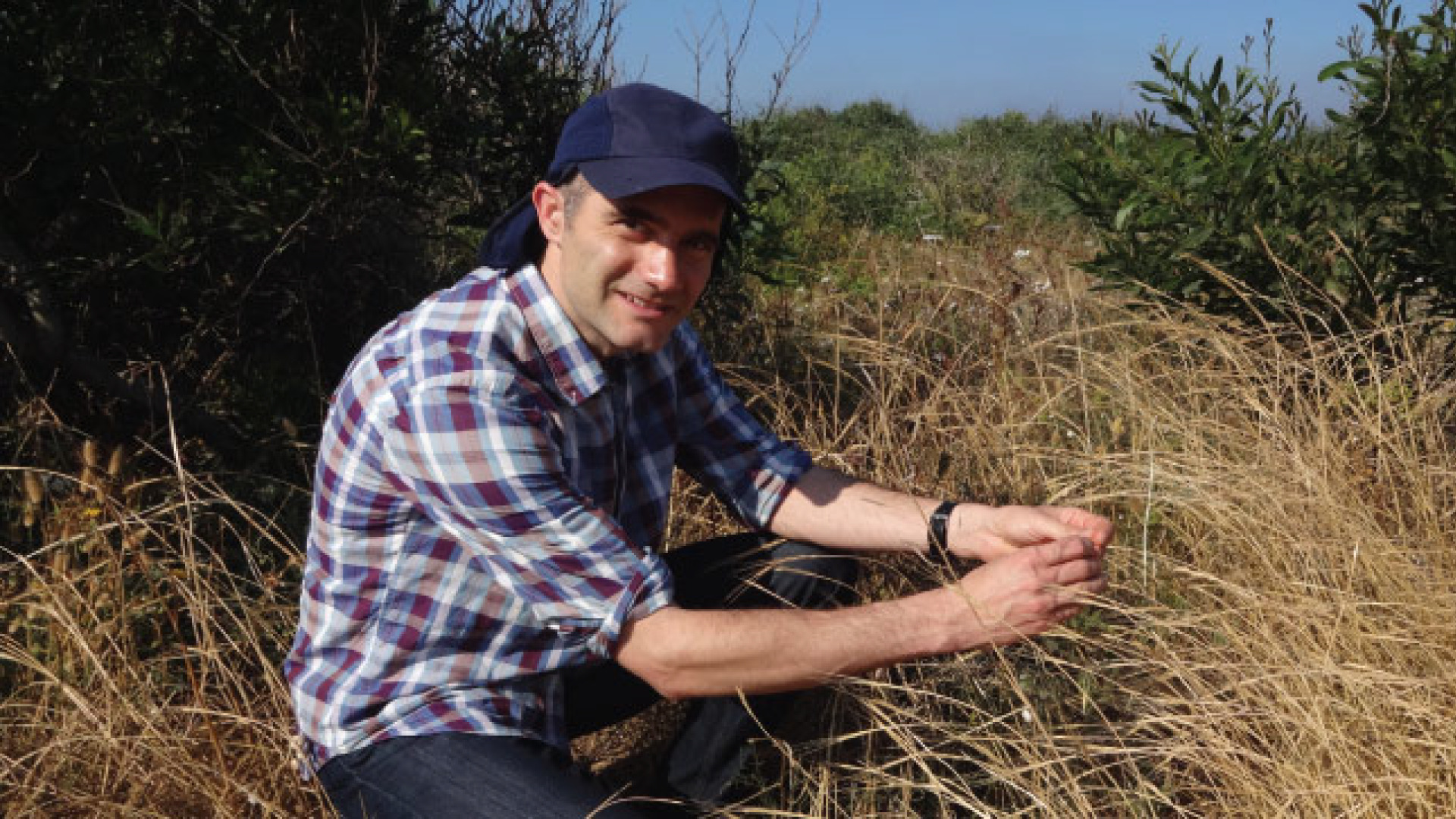 Genetic options ensure rust resistance is toast - The Wulff Lab